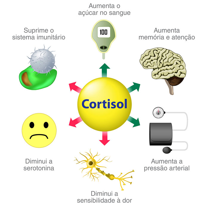 Endocrinologia Curitiba - Como o estresse pode afetar a saúde?